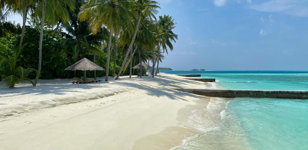 LPL Financial | Carol Horowitz - Financial Advisor & Wealth Manager ...