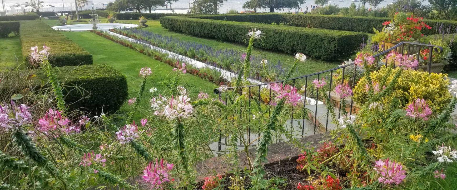 LPL Financial | Carol Horowitz - Financial Advisor & Wealth Manager ...