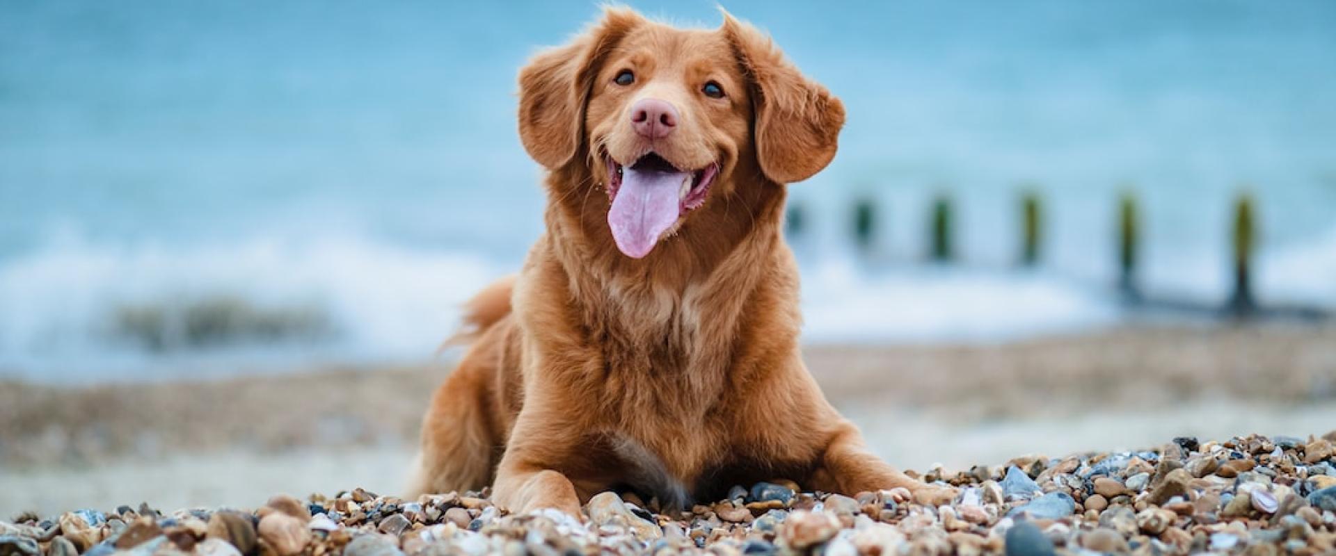 LPL Financial | Carol Horowitz - Financial Advisor & Wealth Manager ...